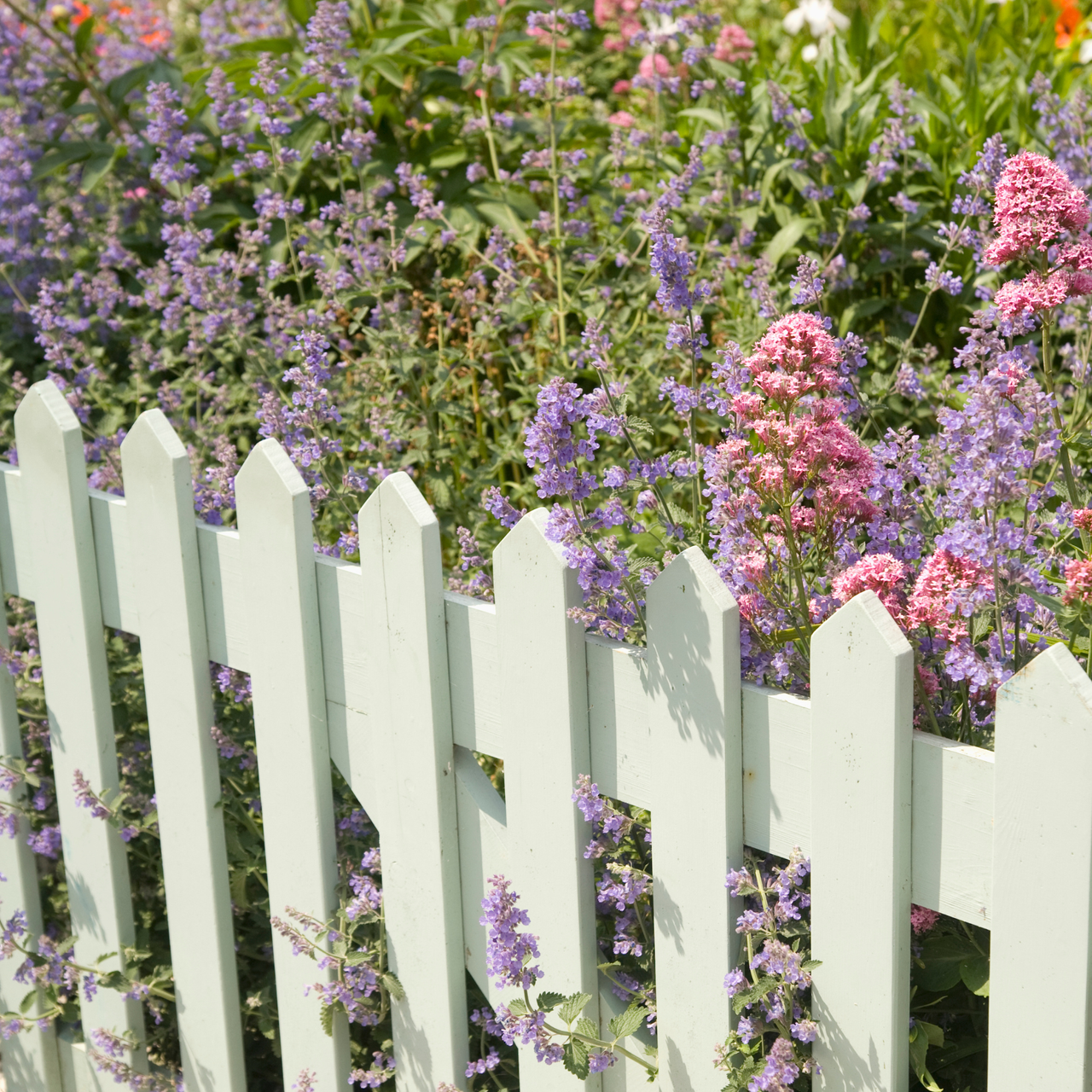 4 garden fence colours that will boost your home’s value | Ideal Home