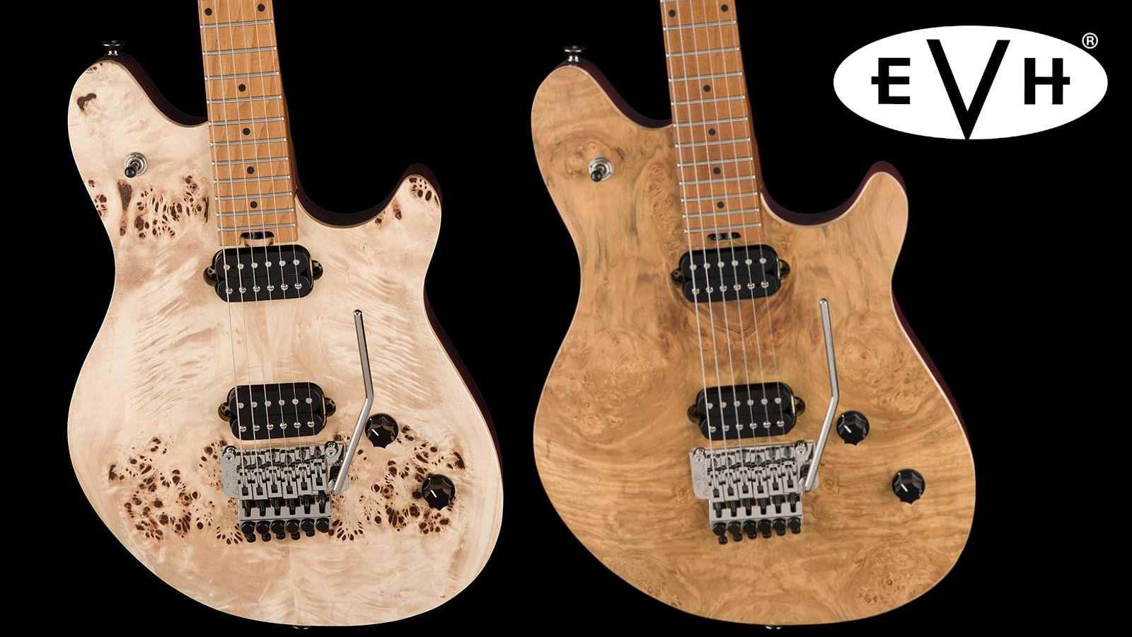 EVH Extends Wolfgang Standard Exotic Range With Poplar Burl and Laurel ...