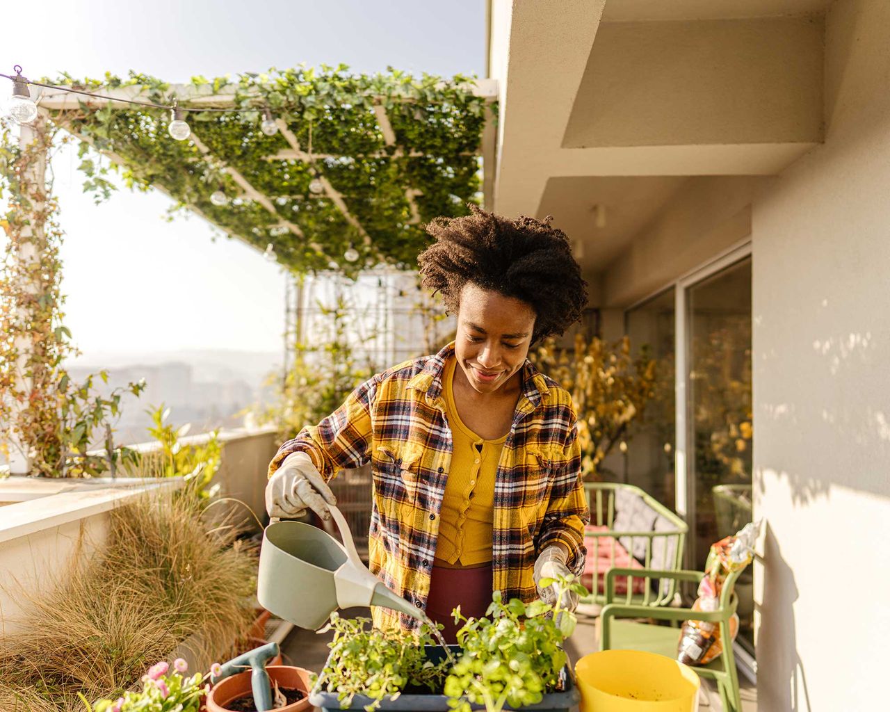Watering plants: tips on what to do, when to do it, and more | Gardeningetc