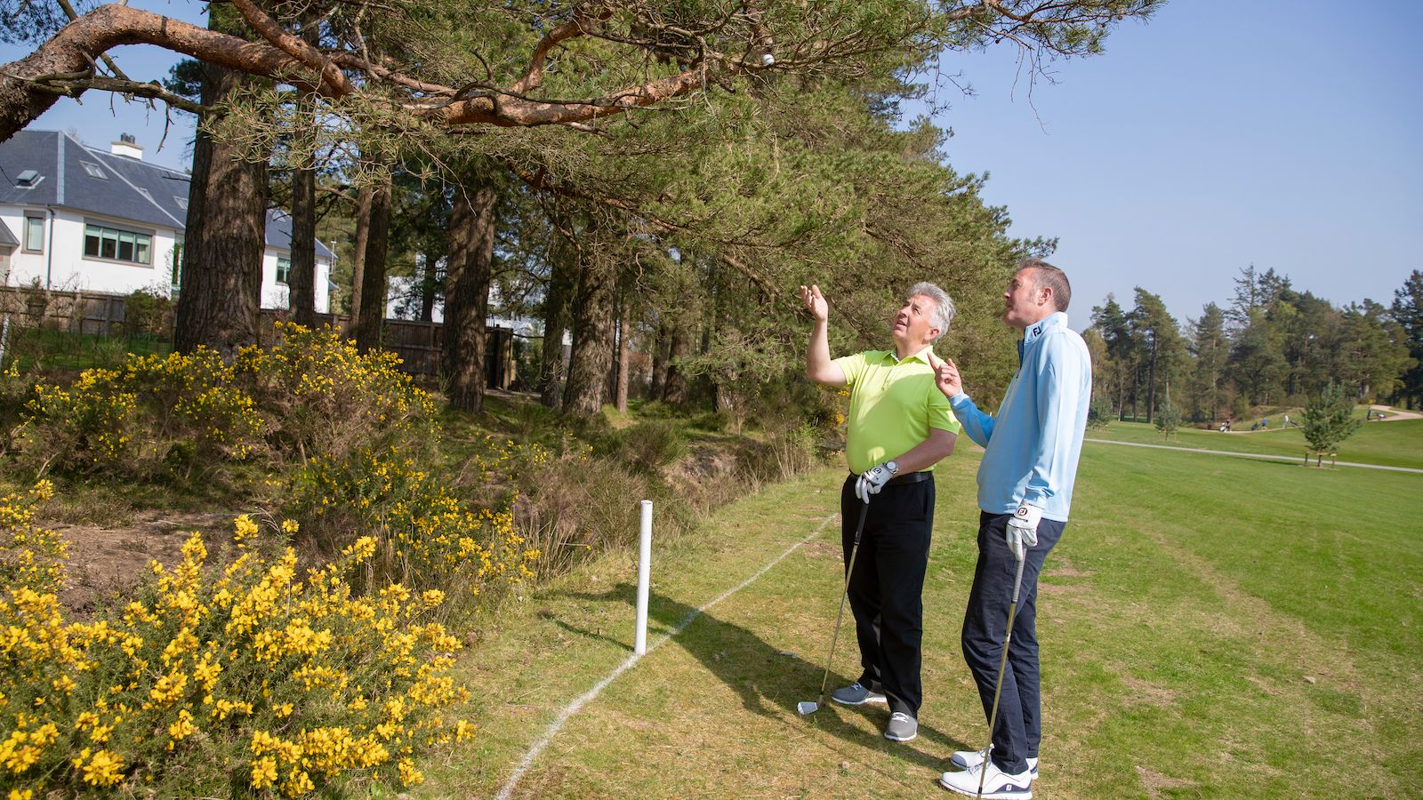 What Should You Do If Your Ball Gets Stuck Up A Tree? Here's What The ...