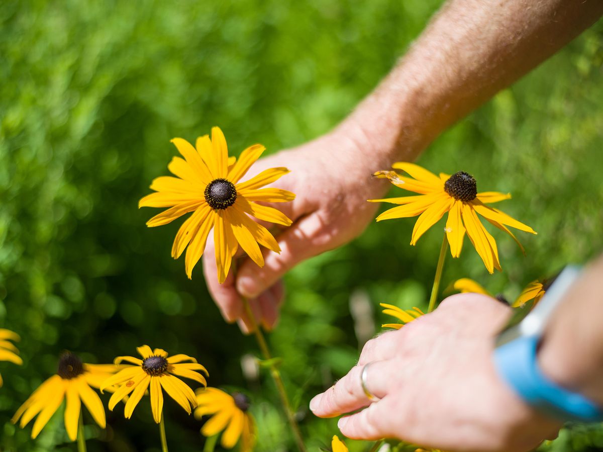 How to photograph flower close-ups in natural light | Digital Camera World