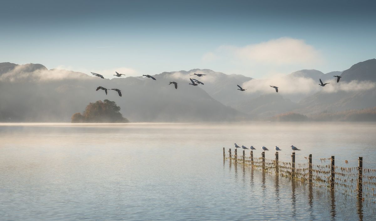 How photographer Amy Bateman went from novice to fully-fledged ...