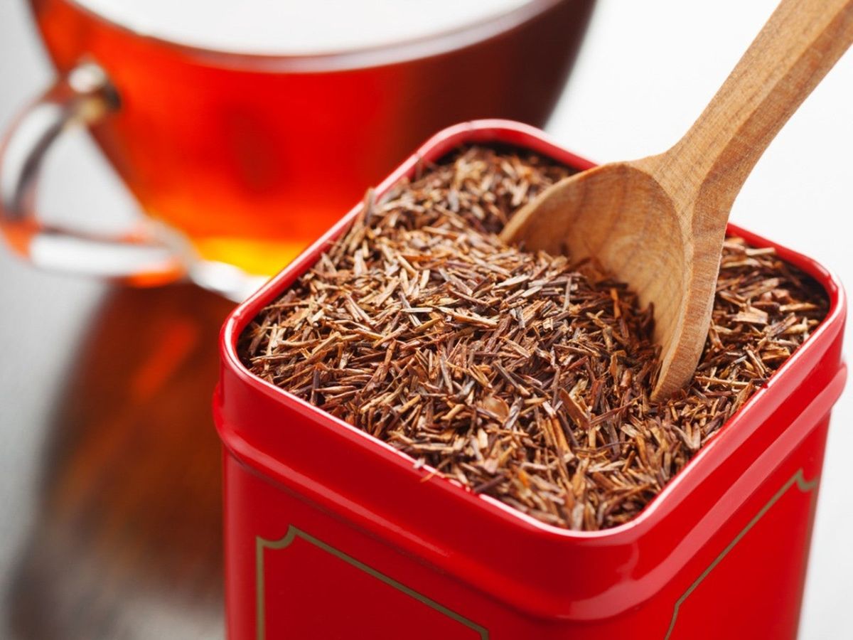 Growing A Rooibos Tea Plant - Rooibos Growing Conditions And Care ...