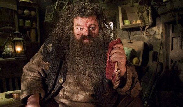 7 Things You Should Know Before Riding Hagrid's Magical Creatures ...