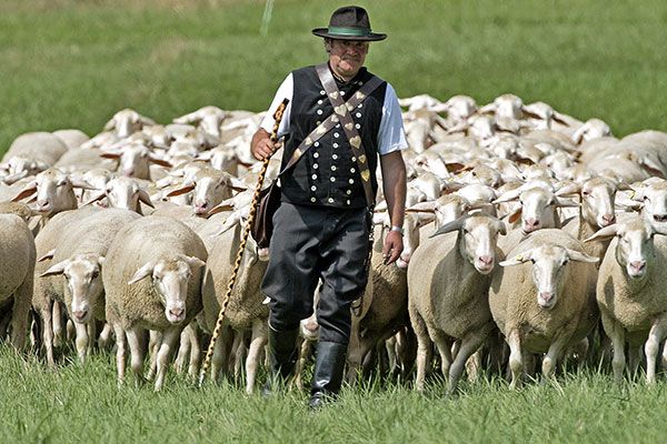 Check out these delightful photos from Germany's Shepherds ...