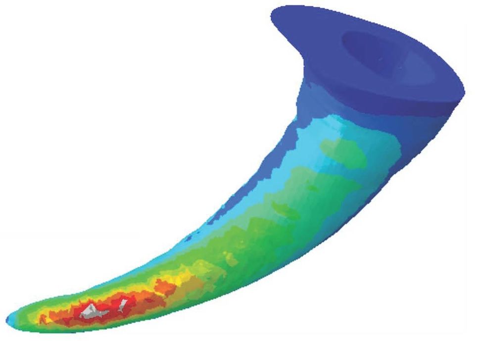 Why Spider Fangs Are Nature's Perfect Needles | Live Science