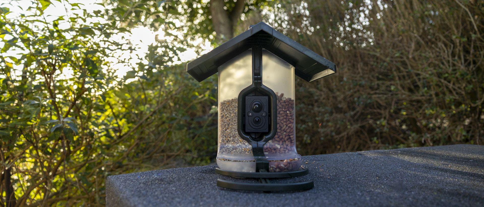 FeatherSnap Scout bird feeder camera review: less smart and more manual ...