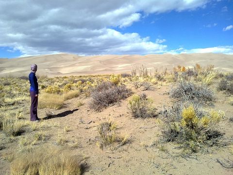 In Photos: Mima Mounds Around the World | Live Science