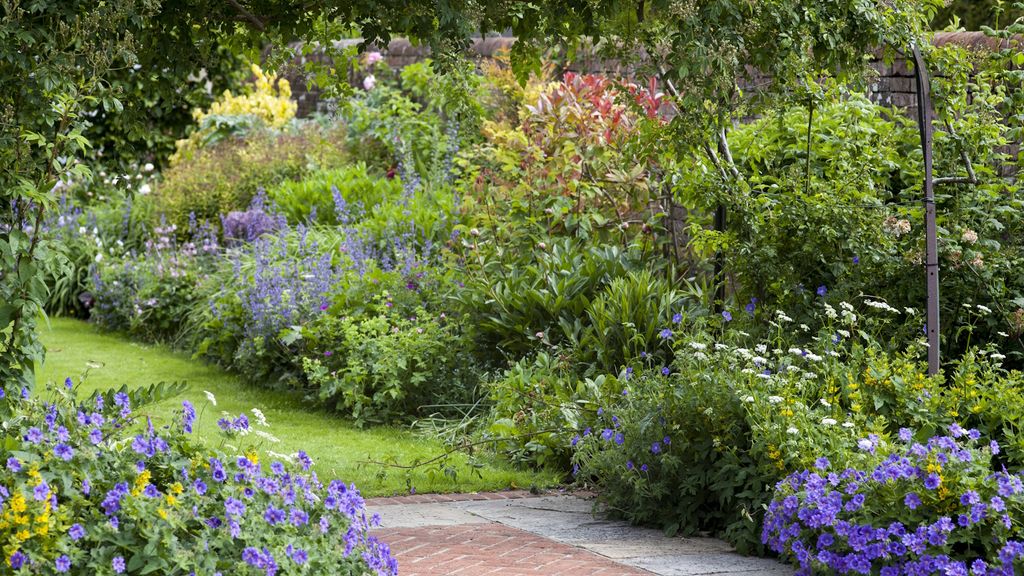 Using rocks instead of mulch: the versatile alternative | Homes and Gardens