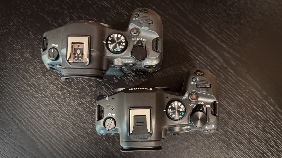 Canon EOS R6 Mark II vs R6 Mark III: What's the difference? | Digital ...