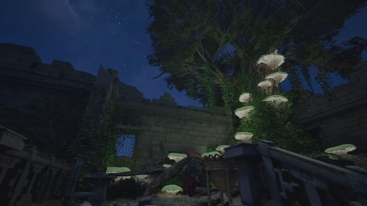 Avowed kicks off Xbox Developer_Direct 2024 showing off the Living ...