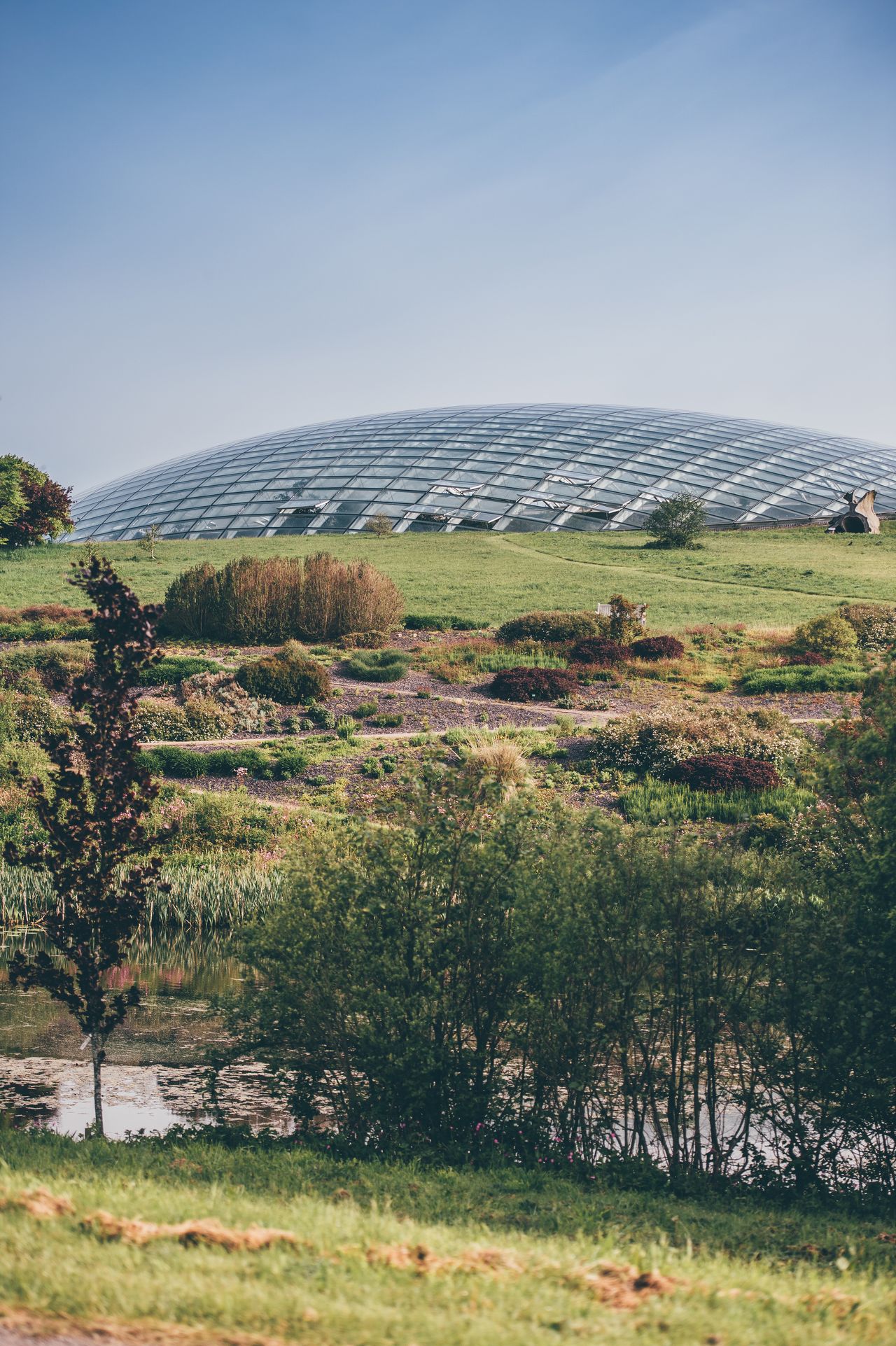 The first new botanical gardens to be created in the UK in almost 200 ...