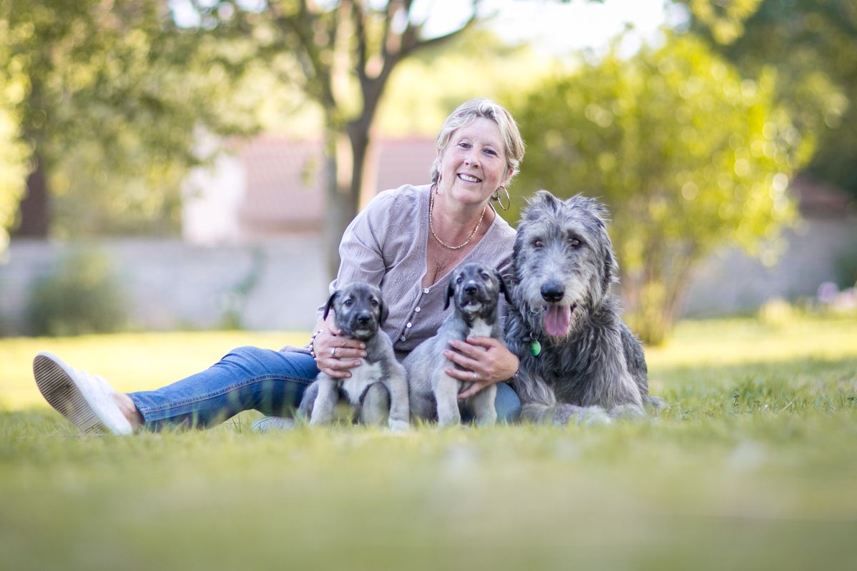 Identical Twin Puppies Confirmed with DNA Tests | Live Science