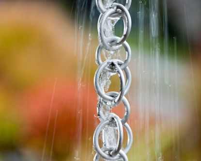 What is a rain chain and how does it work? | Gardeningetc