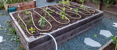 Best drip irrigation system in 2024 | chosen by experts | Top Ten Reviews