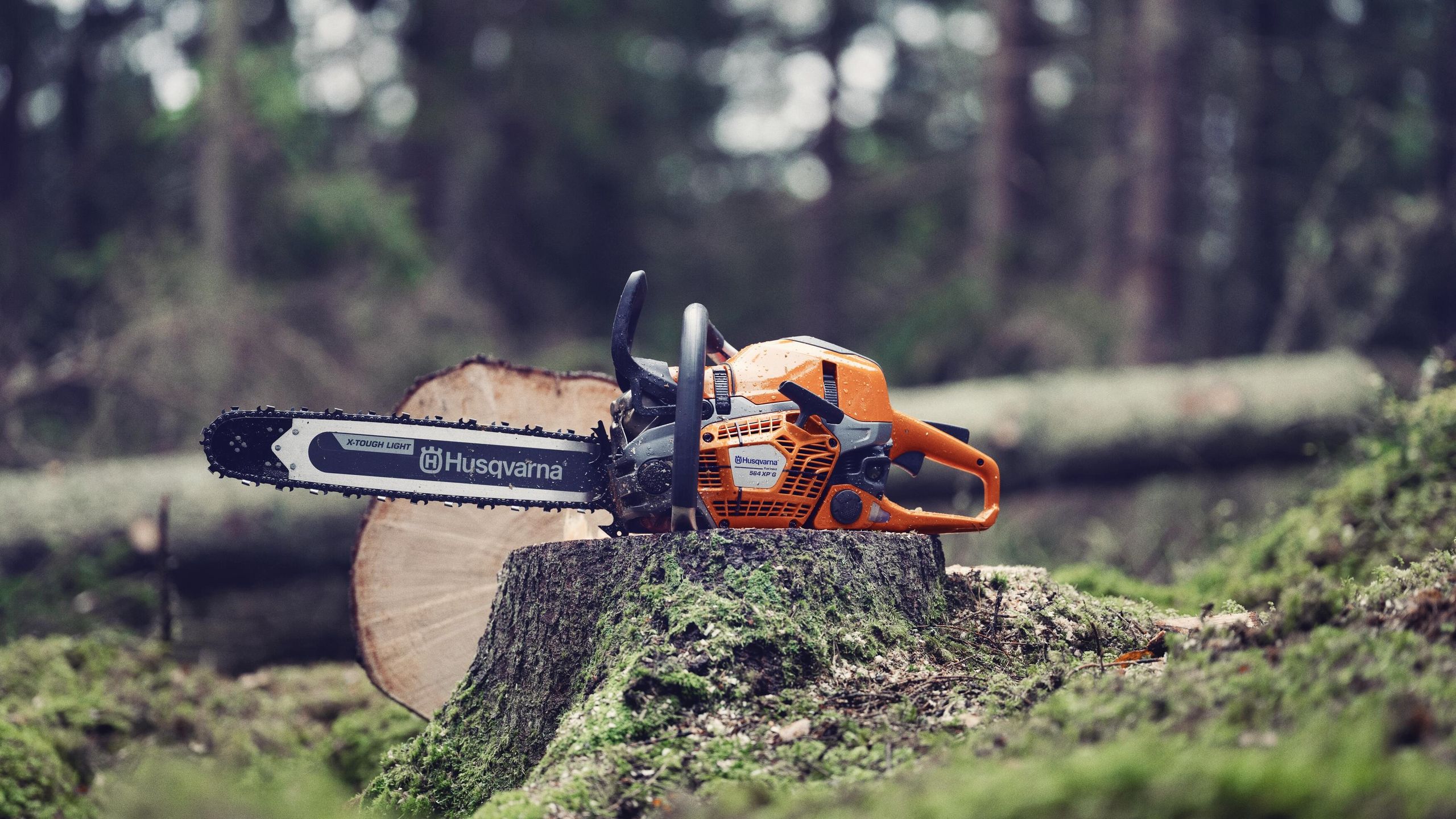 Husqvarna launches user-friendly chainsaw that's perfect for DIY ...