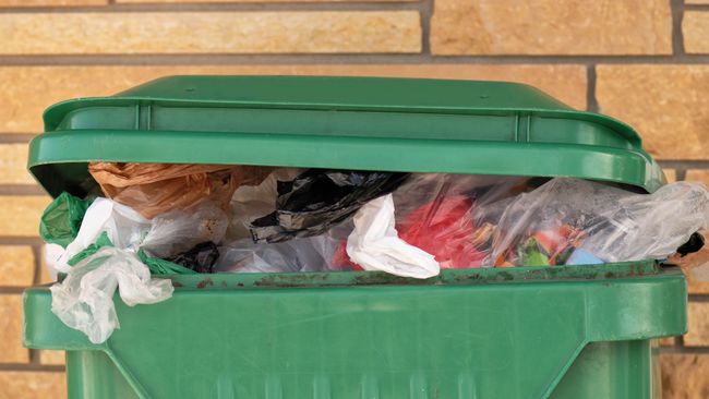 7 things that attract wasps to your yard | Tom's Guide