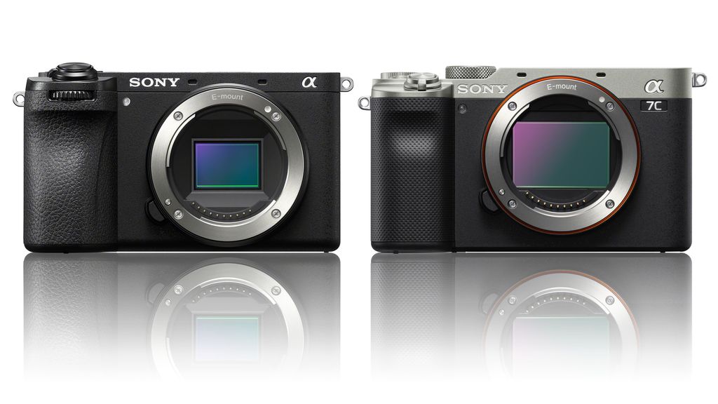 What is an APS-C camera? Why this camera spec is a sweet spot for price ...
