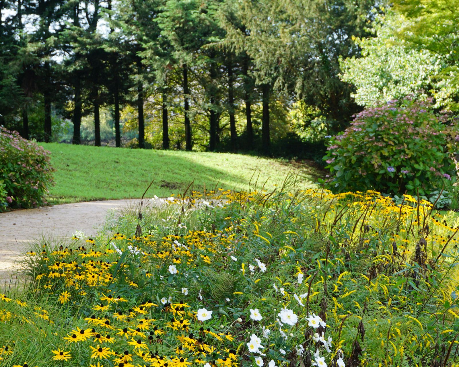 How to design a sloping garden: key points to consider | Homes and Gardens