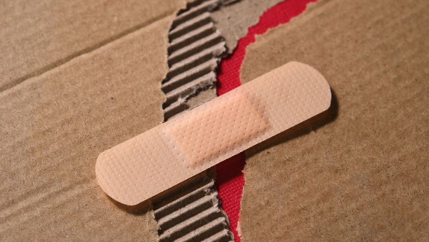 First Pig-Monkey Chimeras Were Just Created in China | Live Science