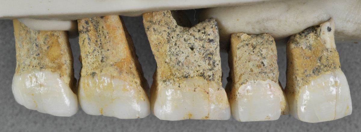 Scientists discovered a new species of ancient humans in the ...