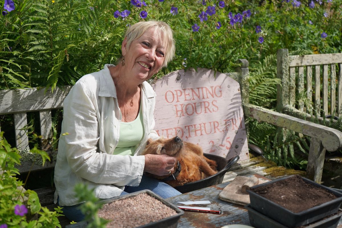 Summer Gardening With Carol Klein: air date, Carol's tips | What to Watch