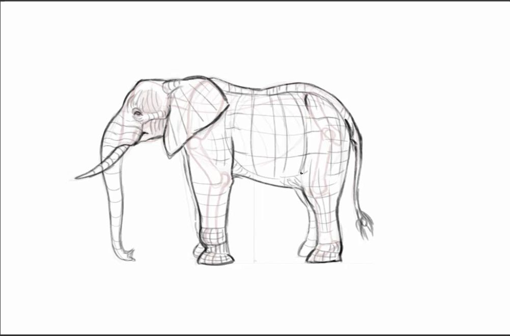 How to draw an elephant | Creative Bloq