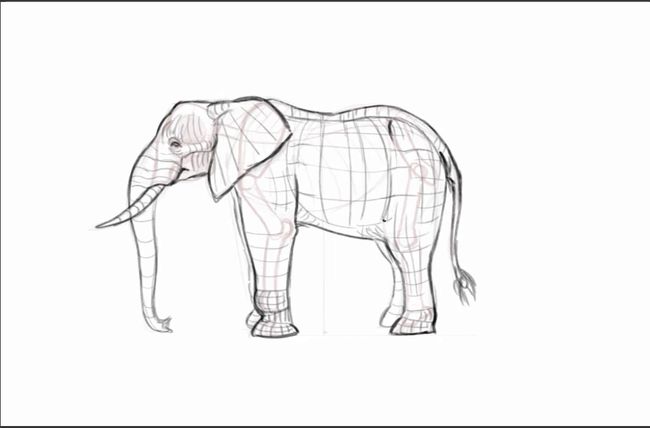 How to draw an elephant | Creative Bloq