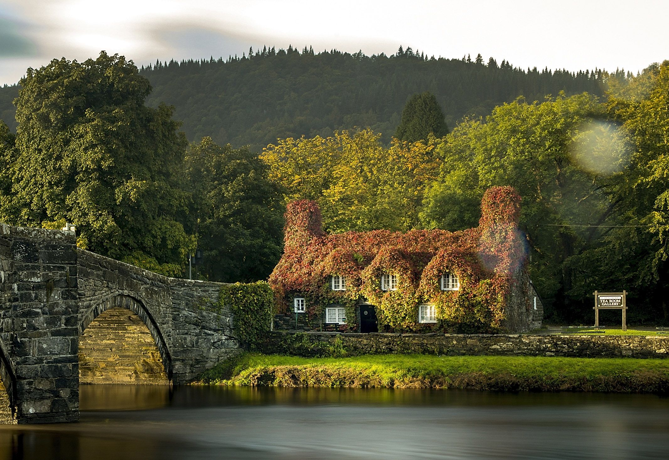 Alan Titchmarsh: Everything you think you know about ivy is probably ...